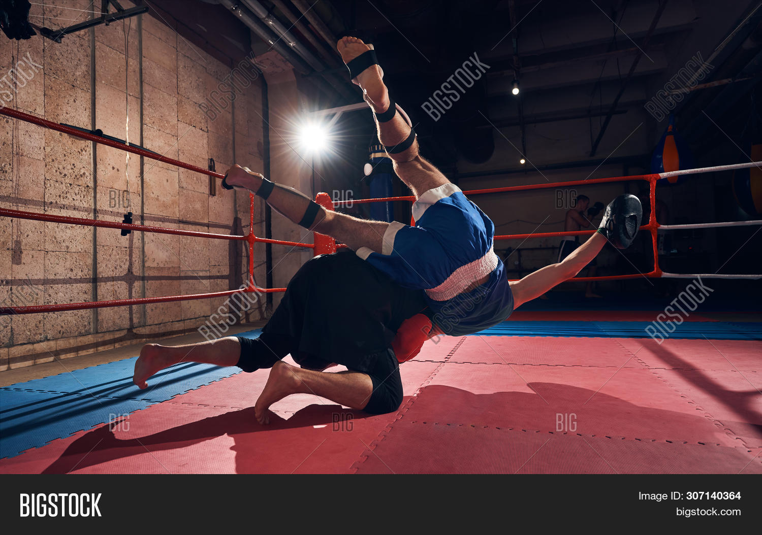 Aggressive Man Boxer Image & Photo (Free Trial) | Bigstock
