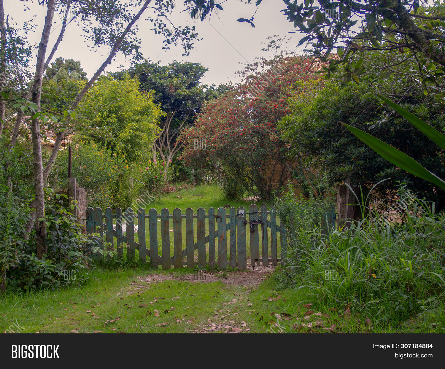 Wooden Farm Gate Image & Photo (Free Trial) | Bigstock