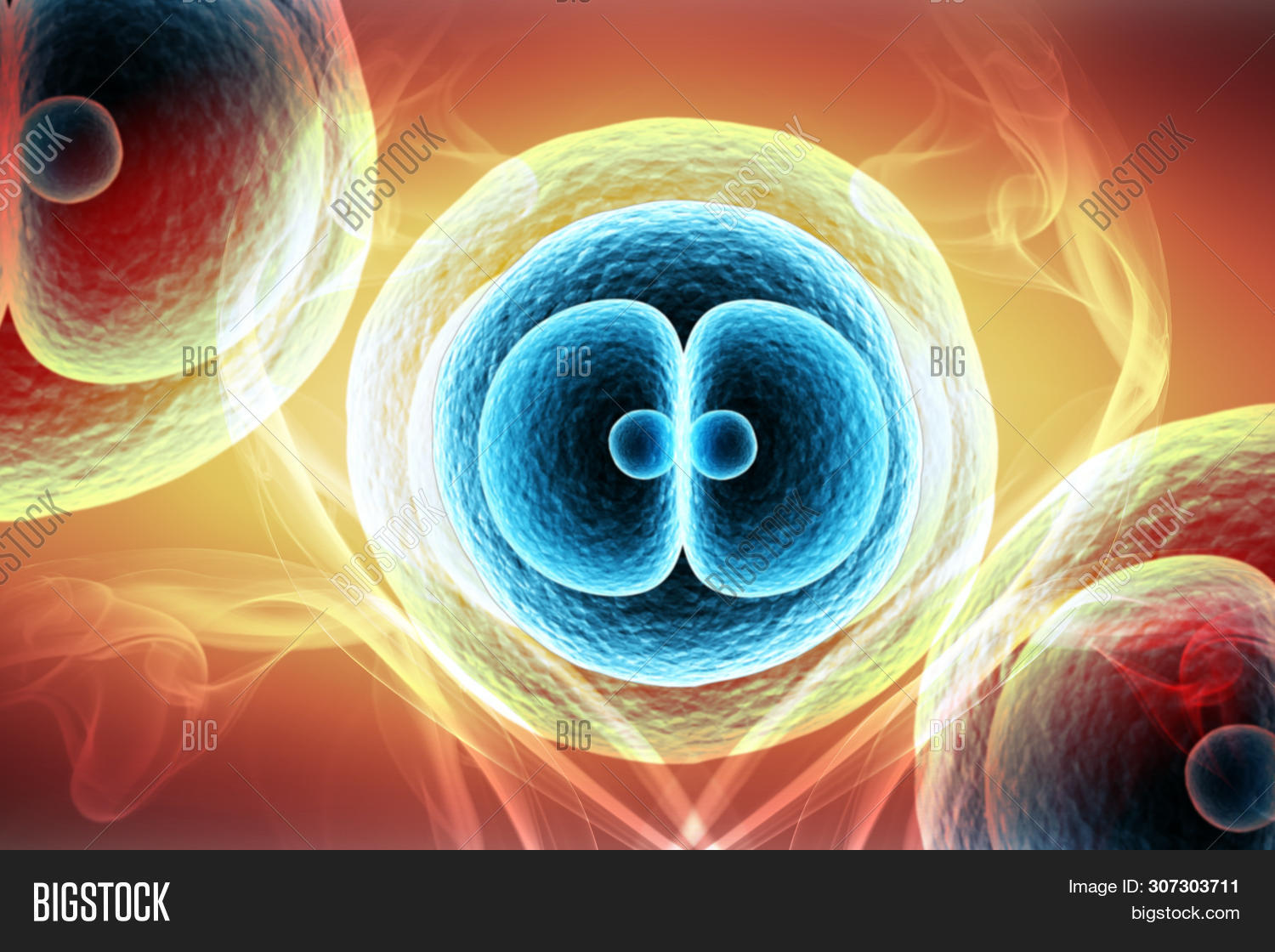3d Rendered Zygote Image & Photo (Free Trial) | Bigstock