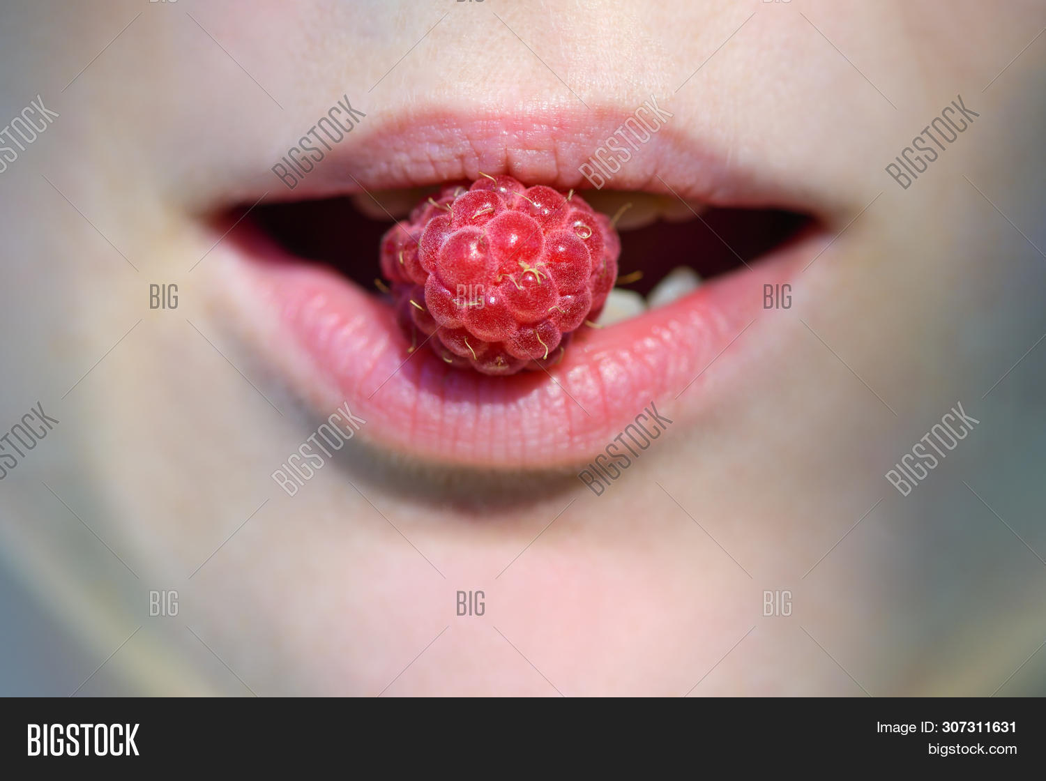 Ripe Red Raspberry Image & Photo (Free Trial) | Bigstock