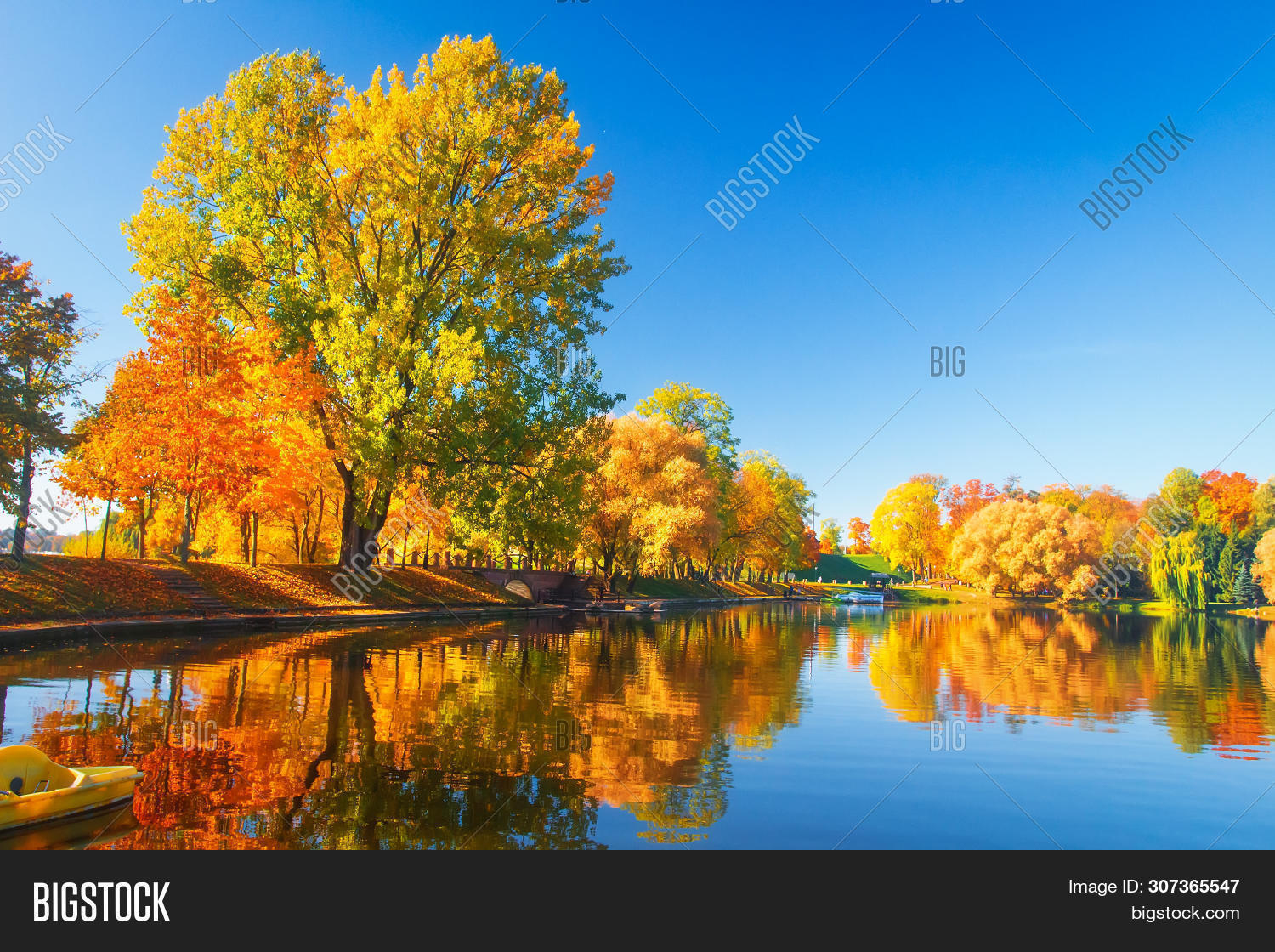 Autumn Park Nature. Image & Photo (Free Trial) | Bigstock