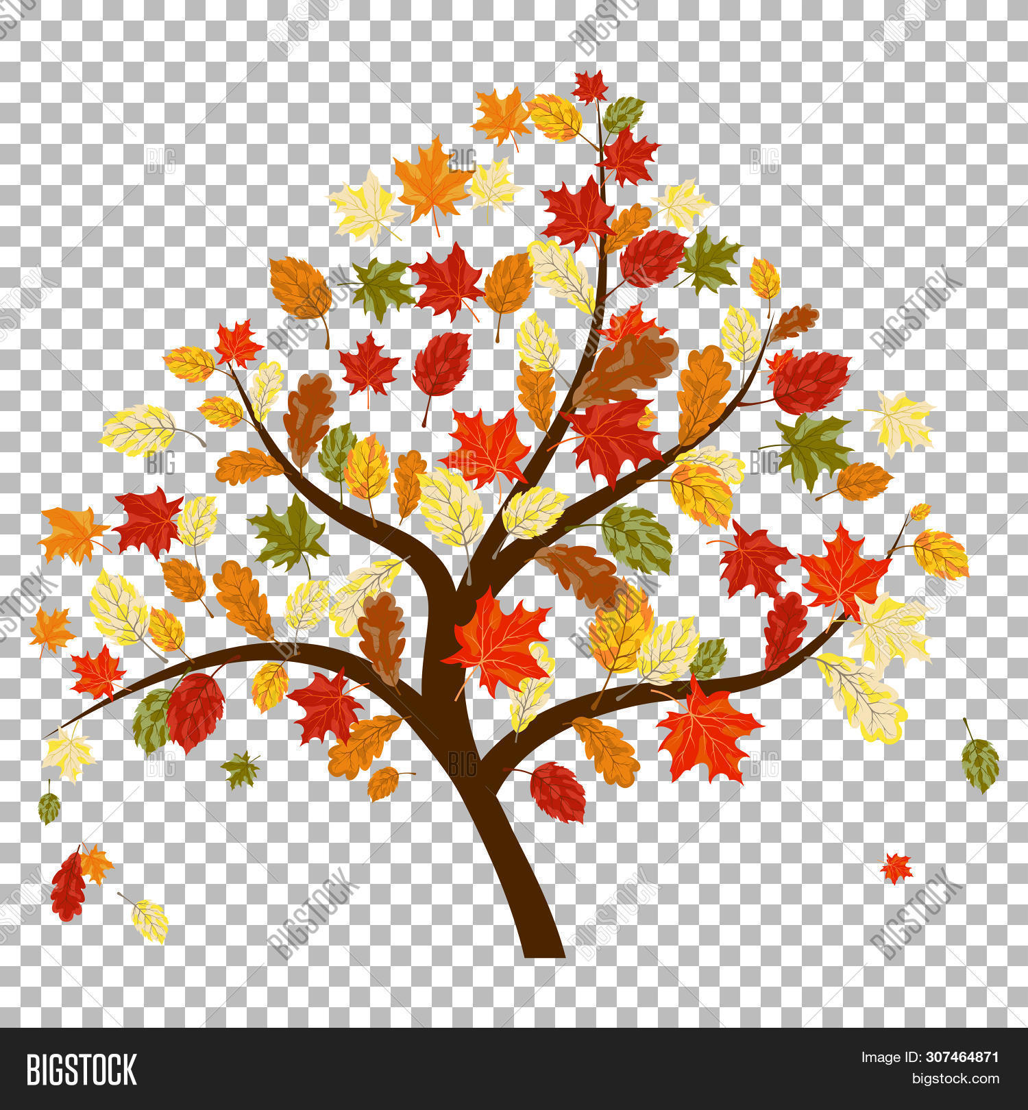 Falling Maple Leaves Vector & Photo (Free Trial) | Bigstock