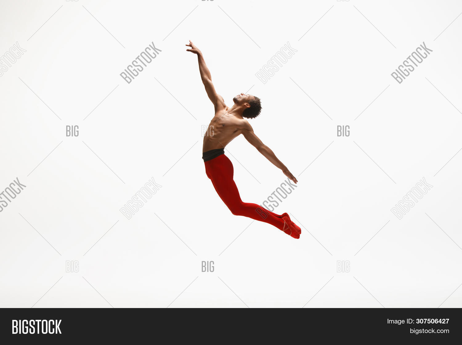 Graceful Classic Image & Photo (Free Trial) | Bigstock
