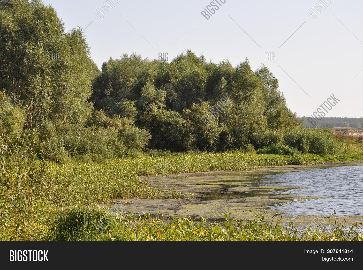 Wide Blue River Slow Image & Photo (Free Trial) | Bigstock