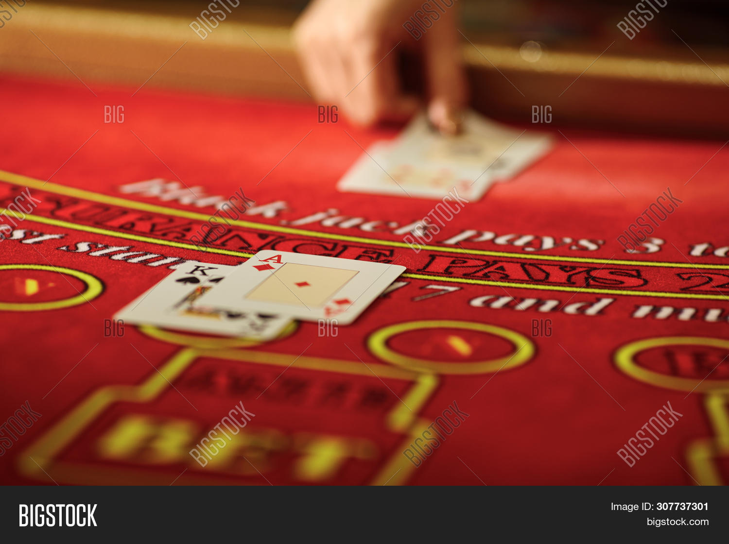 Croupier Casino Does Image & Photo (Free Trial) | Bigstock