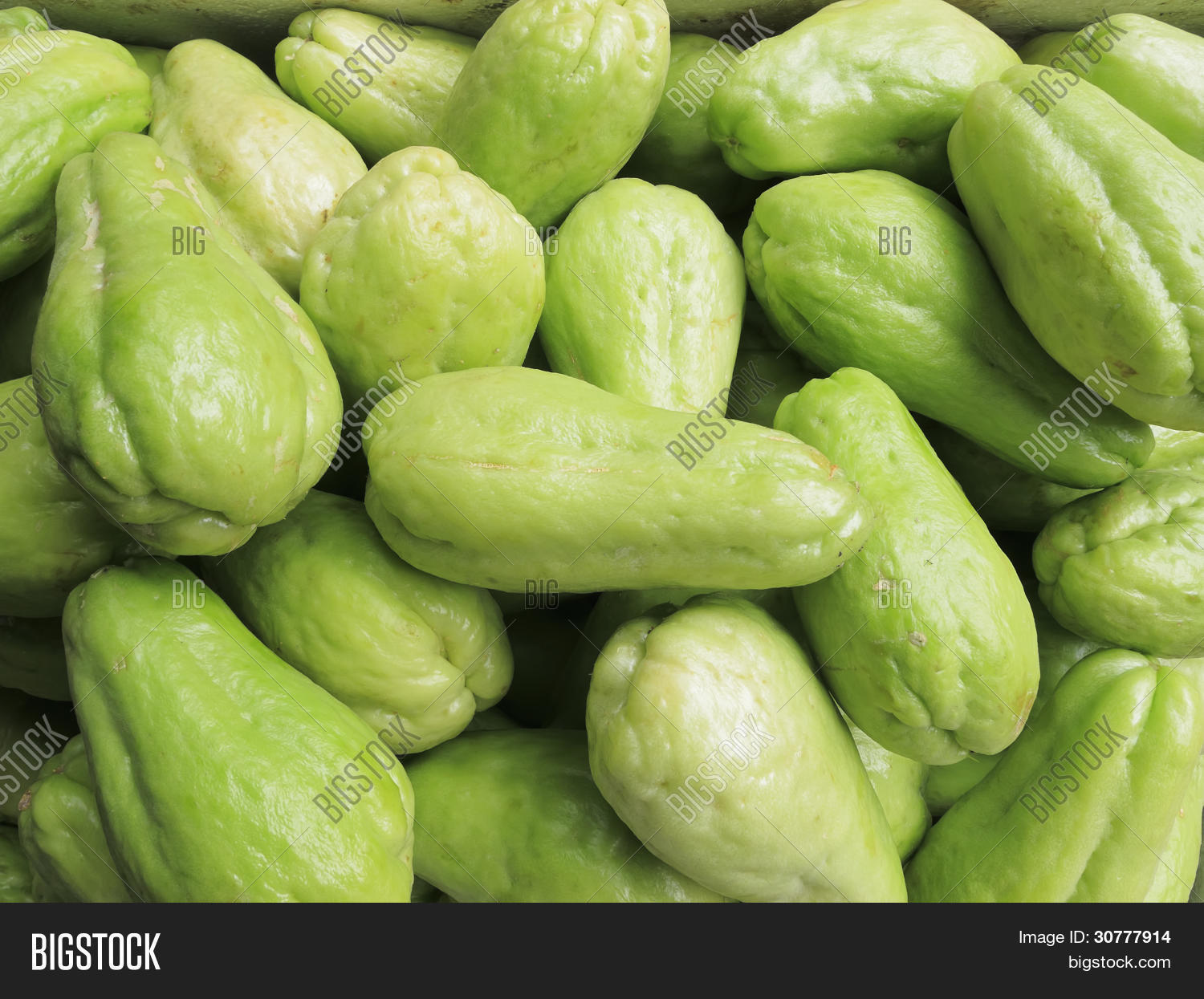 Sayote Image & Photo (Free Trial) | Bigstock