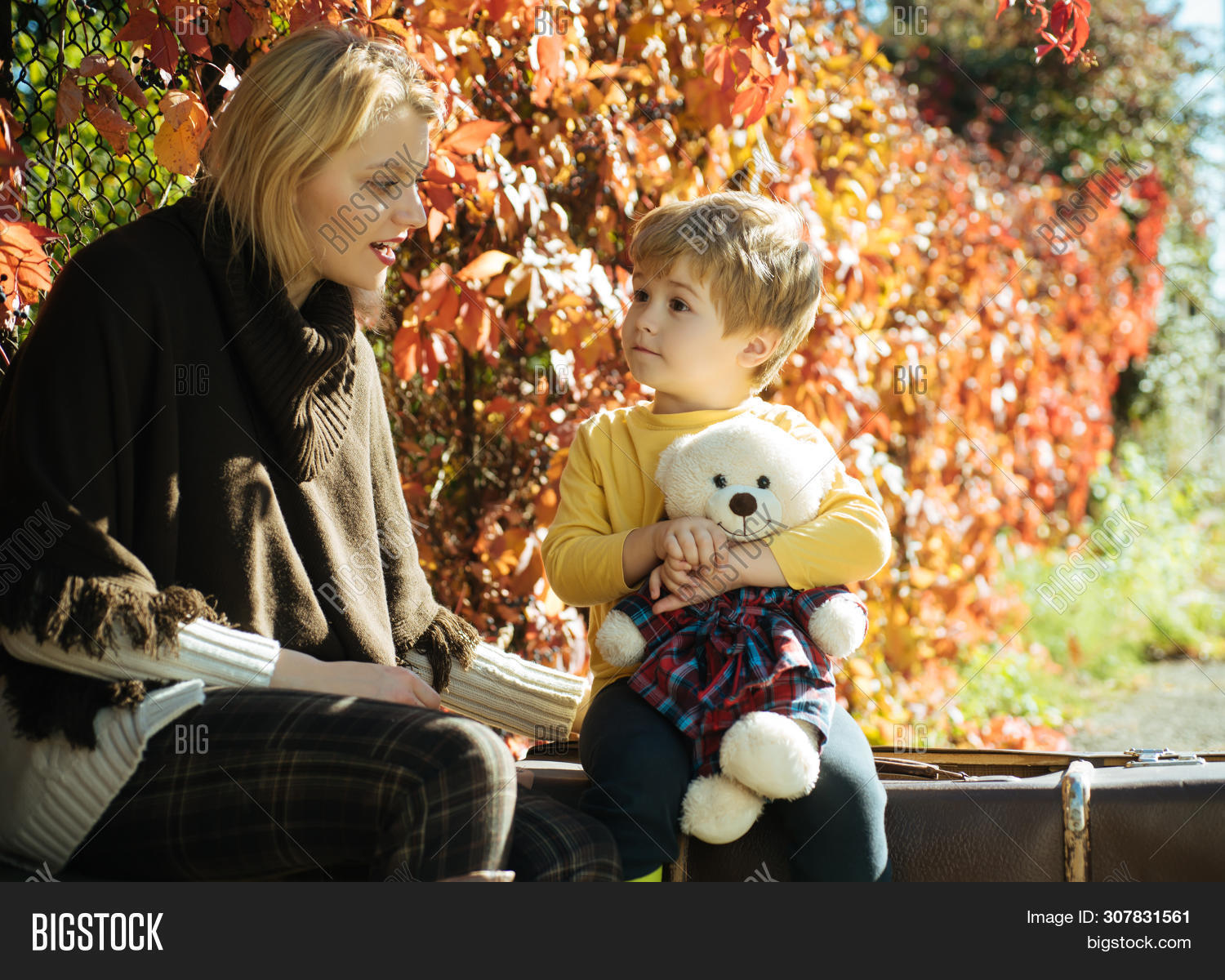 Sincere Communication Image & Photo (Free Trial) | Bigstock