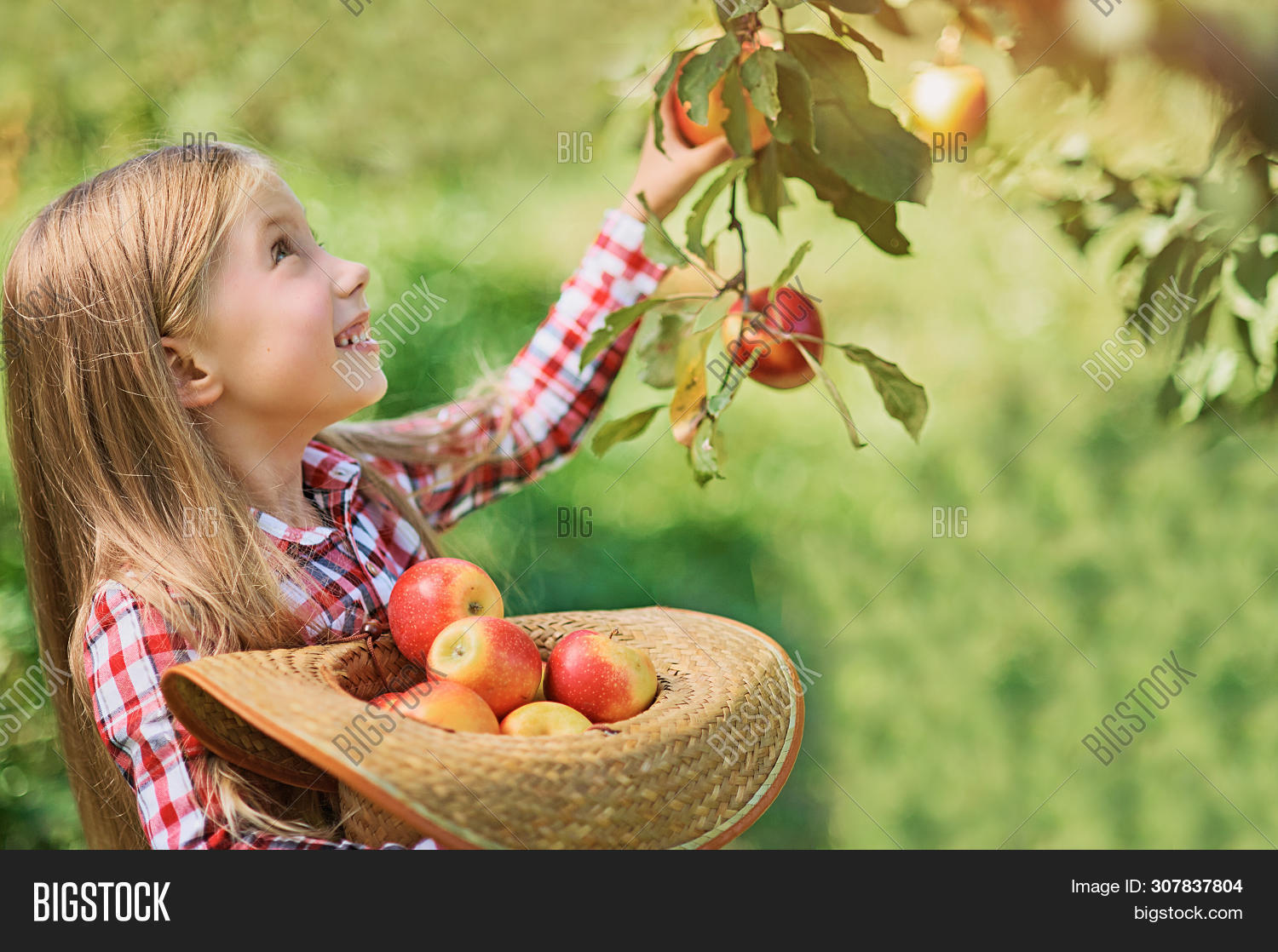 Girl Apple Apple Image & Photo (Free Trial) | Bigstock