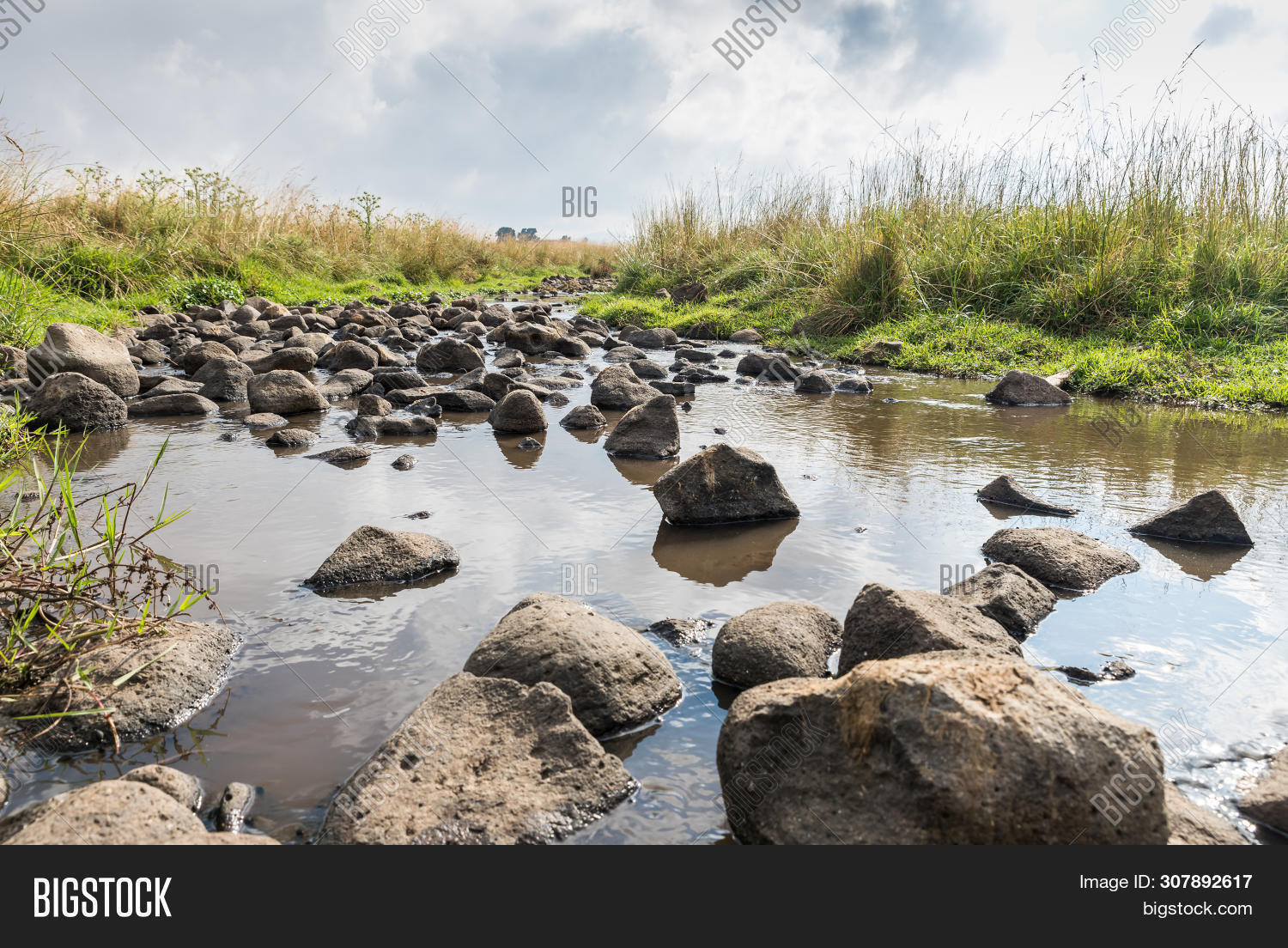 Shallow River Flowing Image & Photo (Free Trial) | Bigstock