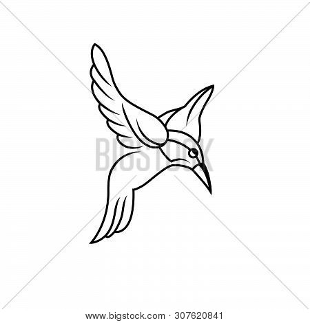 Colibri Outline Vector & Photo (Free Trial) | Bigstock