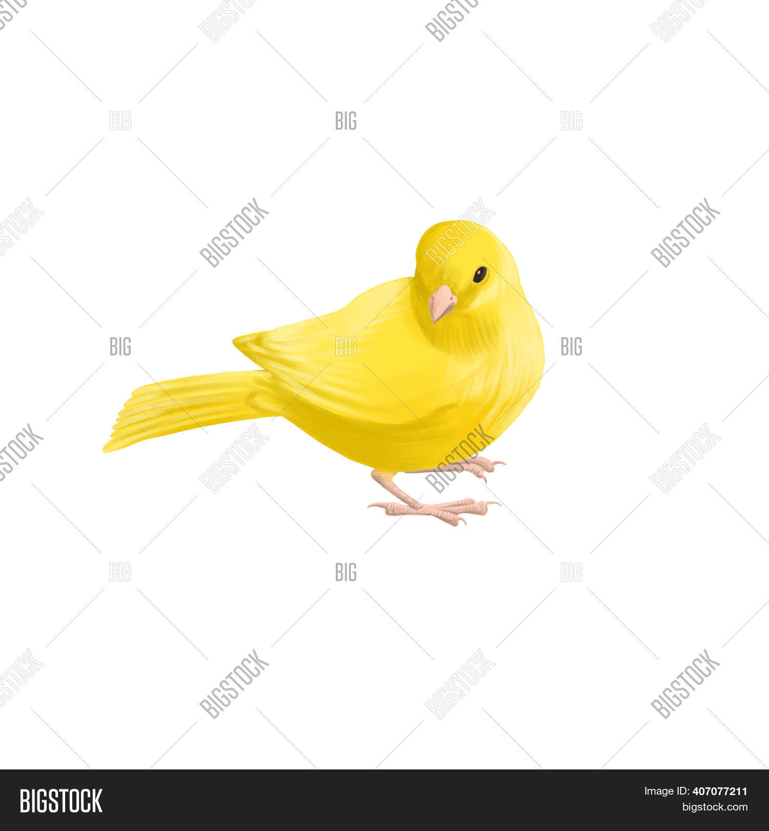 Drawing Bird, Yellow Image & Photo (Free Trial) | Bigstock