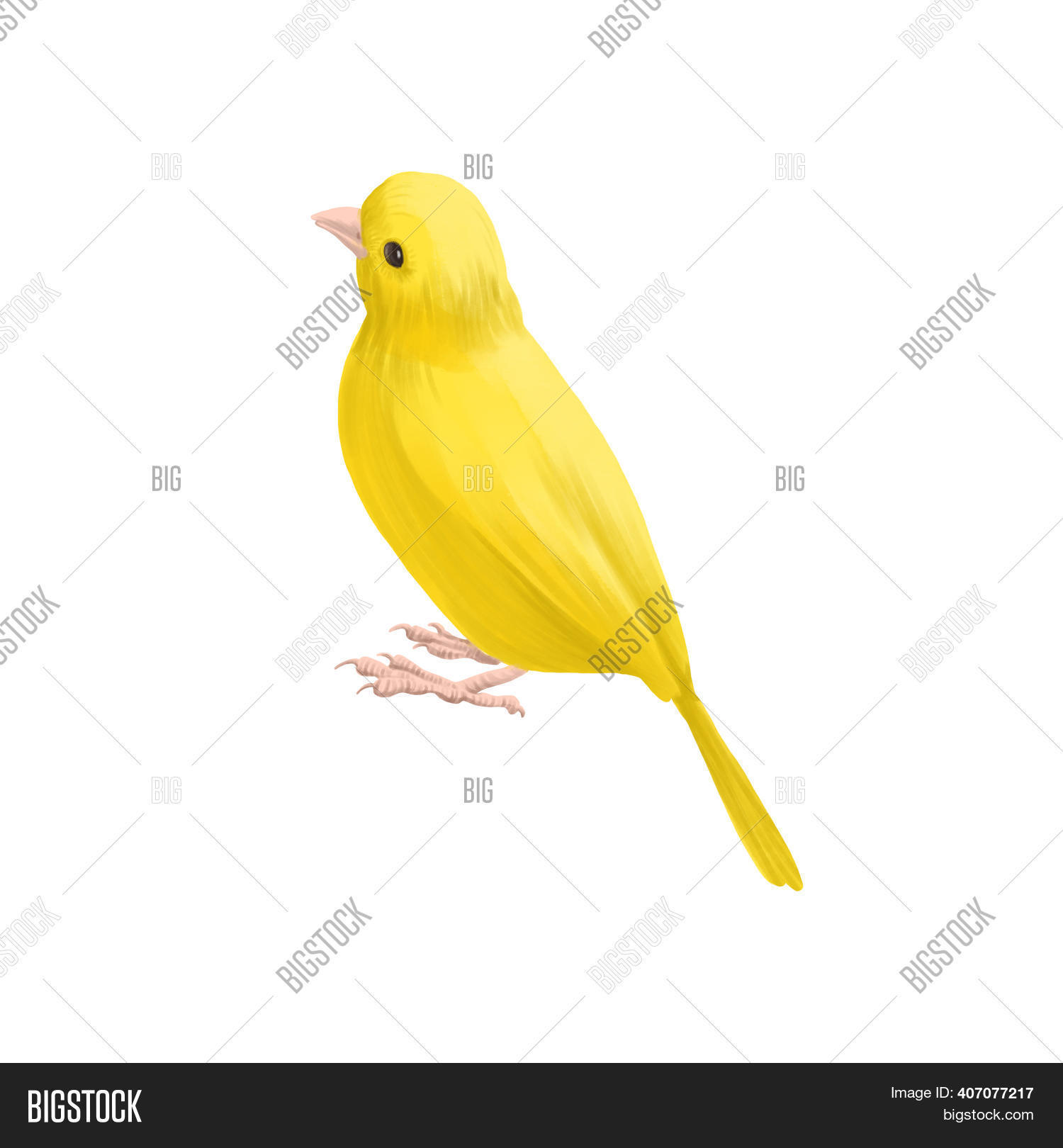 Drawing Bird, Yellow Image & Photo (Free Trial) | Bigstock