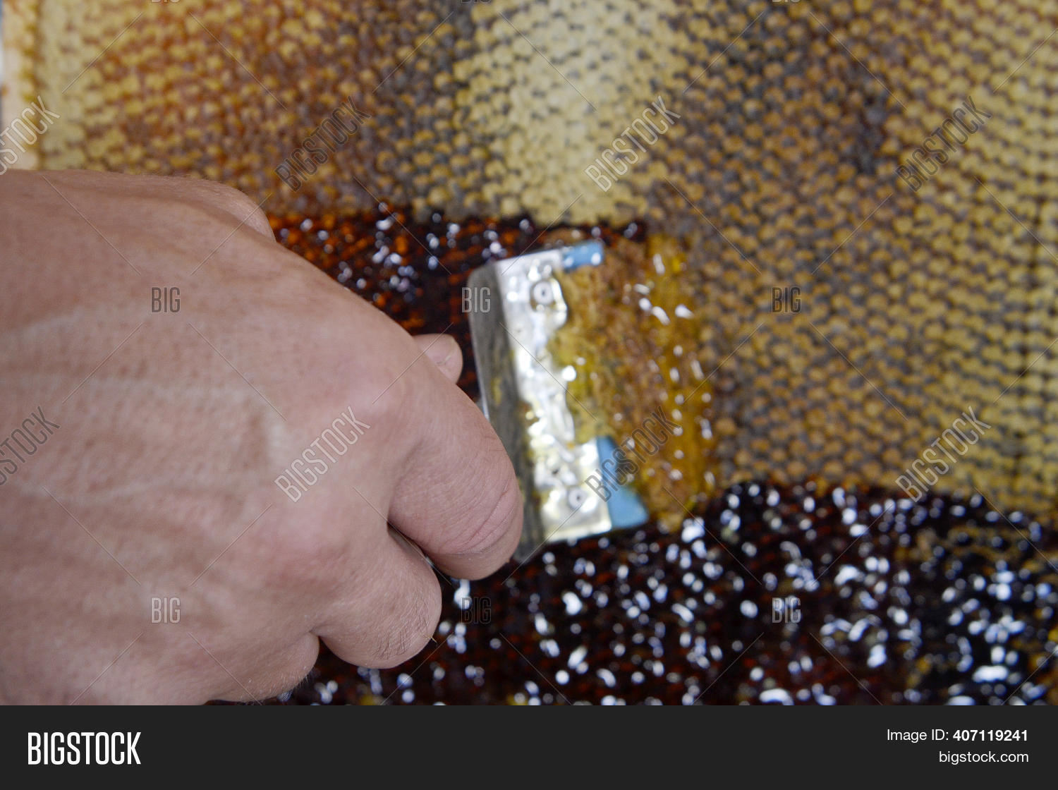 Drop Bee Honey Drip Image & Photo (Free Trial) | Bigstock
