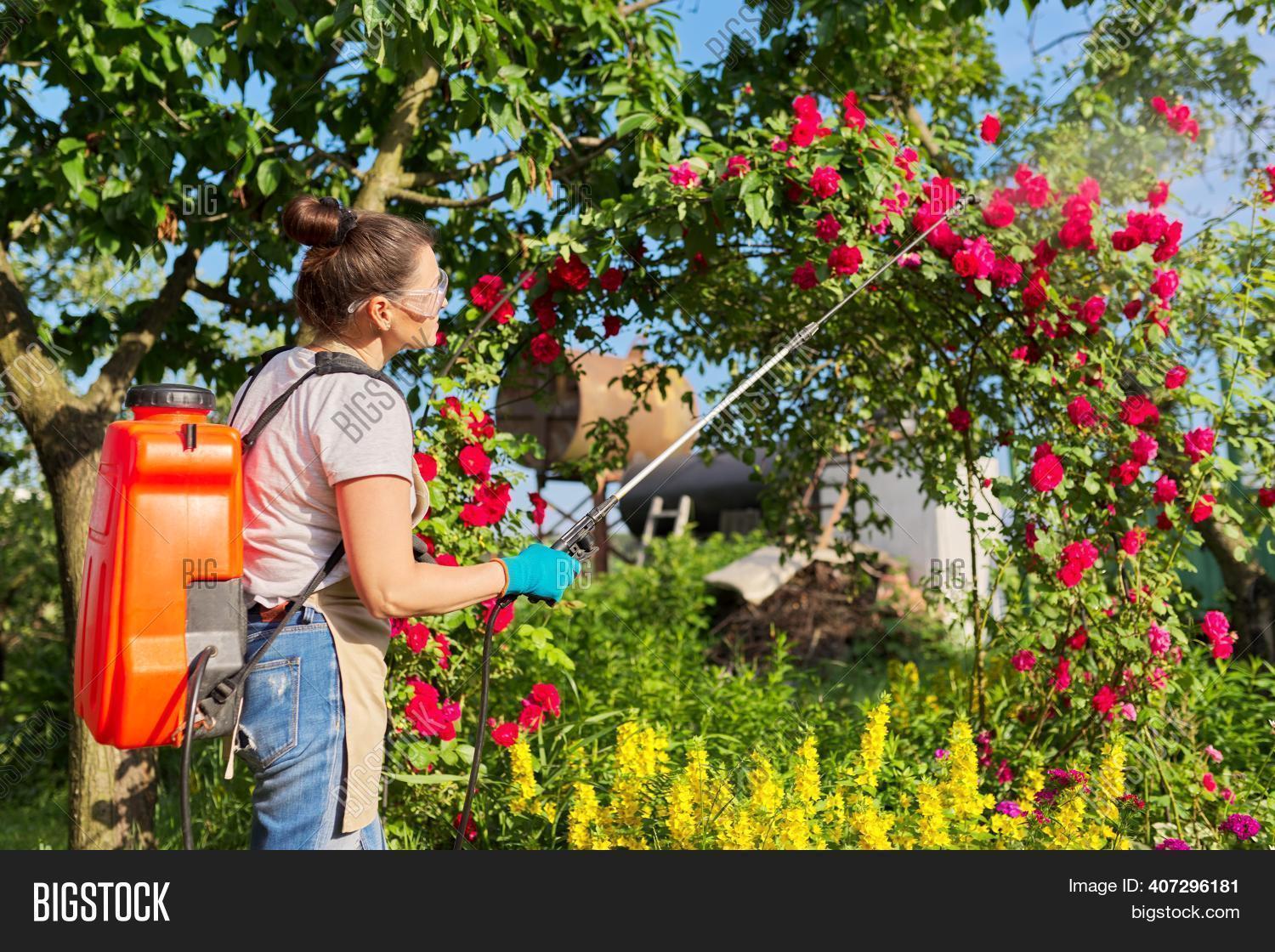 Spring Summer Work Image & Photo (Free Trial) | Bigstock