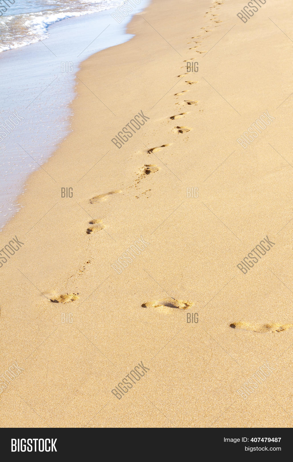 Path Made Footprints Image & Photo (Free Trial) | Bigstock