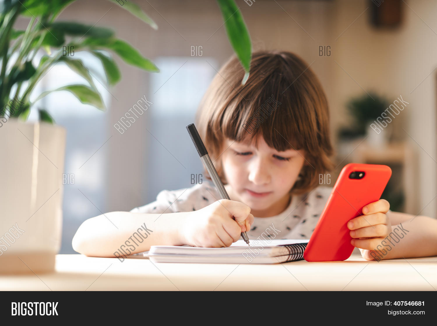 Back School. Distance Image & Photo (Free Trial) | Bigstock