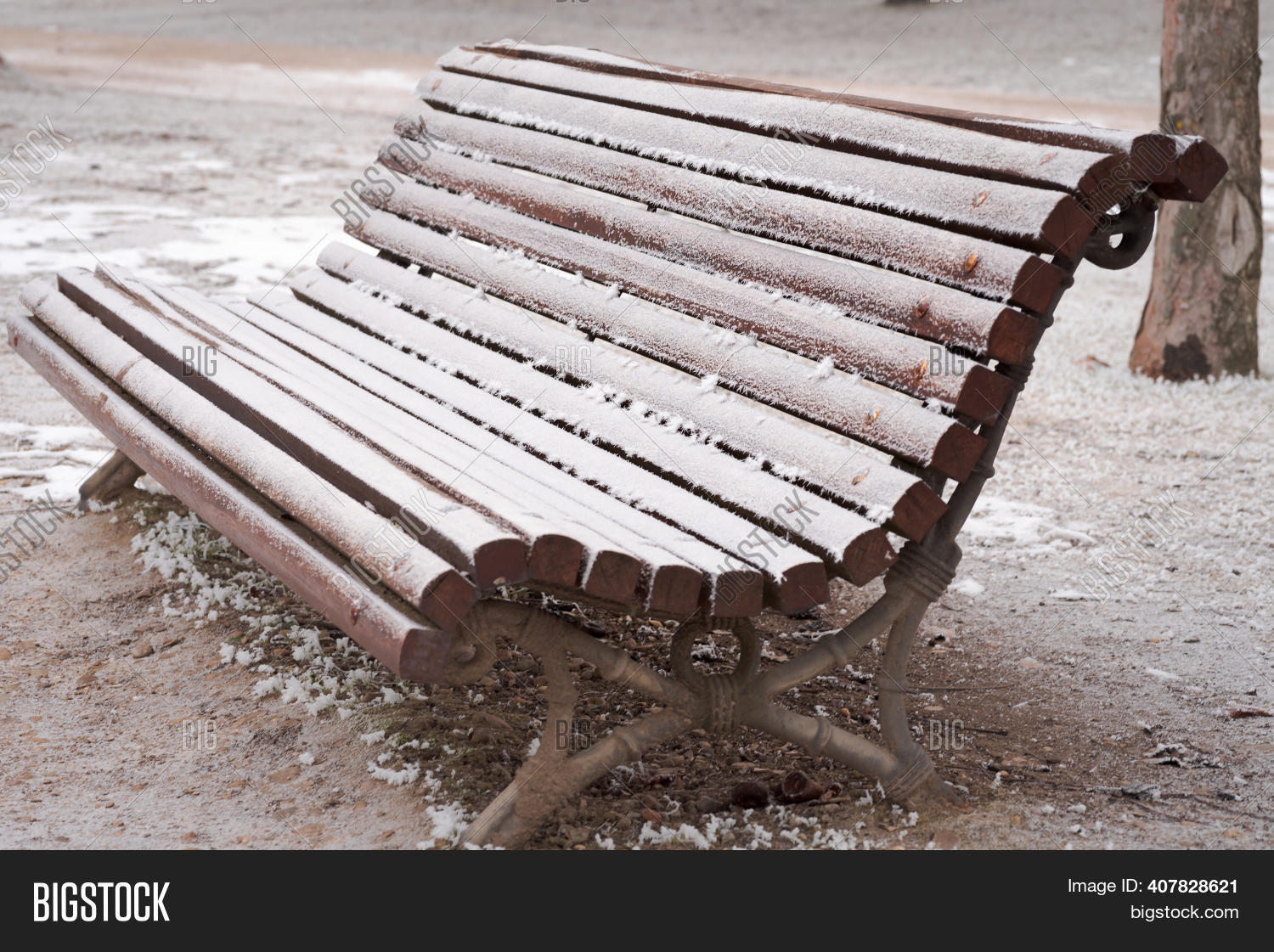 Isolated Frozen Bench Image & Photo (Free Trial) | Bigstock