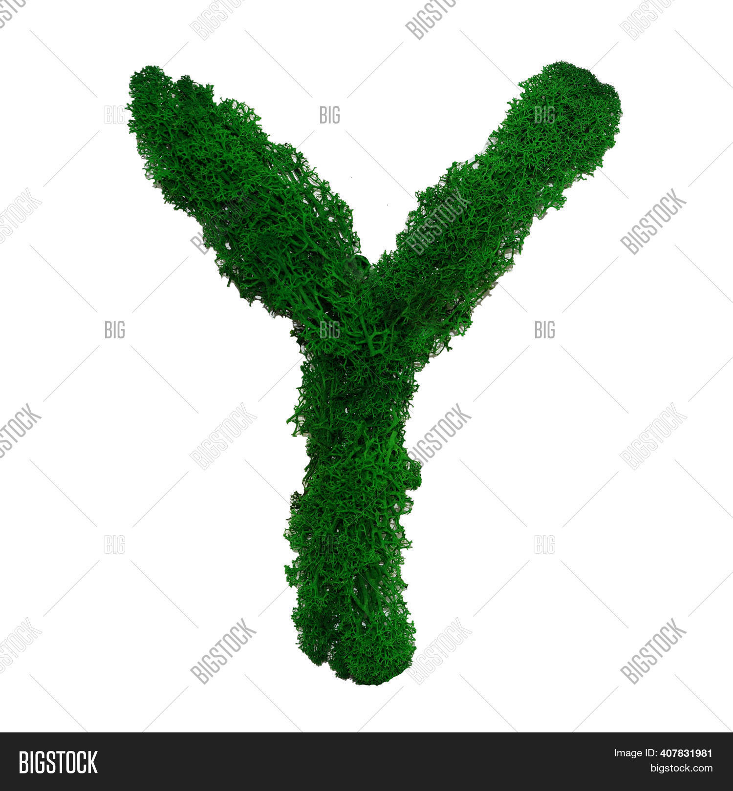 Letter Y English Image & Photo (Free Trial) | Bigstock