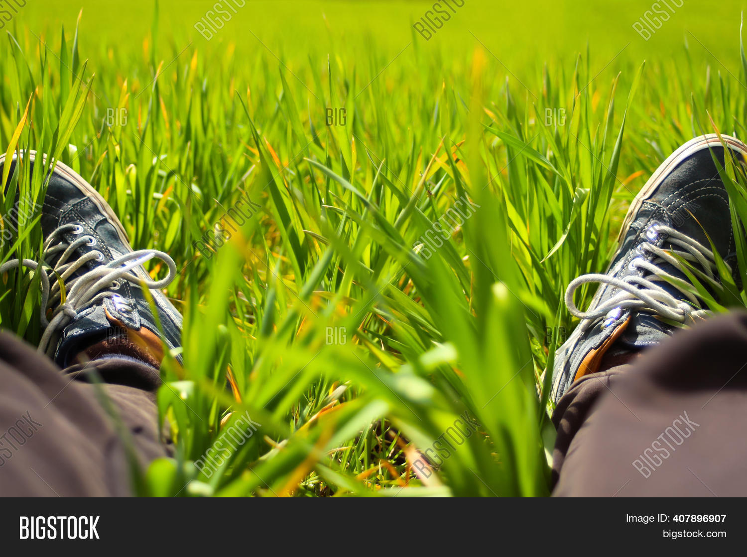 Feet Grass. Feet Image & Photo (Free Trial) | Bigstock