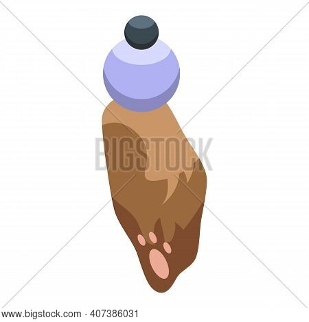 Lucky Rabbit Foot Vector & Photo (Free Trial) | Bigstock