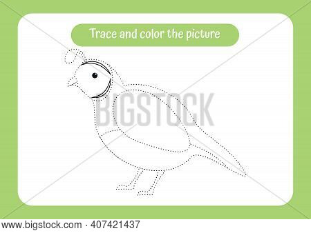 Quail. Trace Color Vector & Photo (Free Trial) | Bigstock