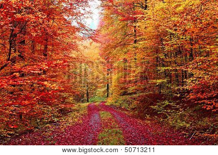 Autumn Landscape Images, Illustrations & Vectors (Free) - Bigstock