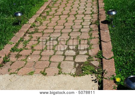 Paved Path Image & Photo (Free Trial) | Bigstock