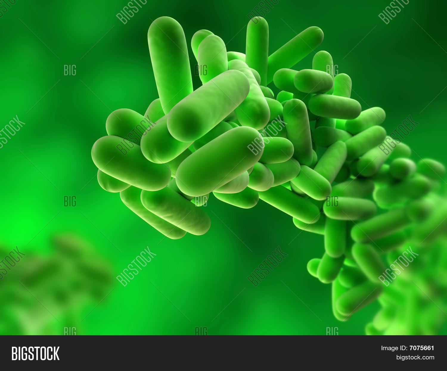 Bacteria Image & Photo (Free Trial) | Bigstock