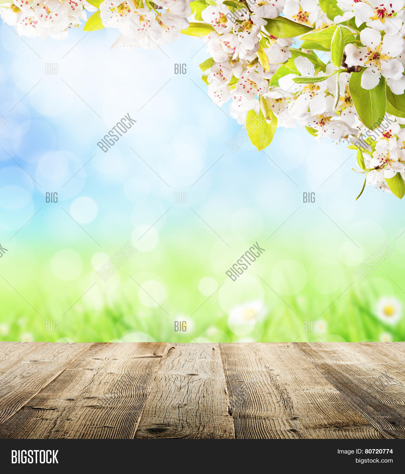Abstract Spring Backgrounds