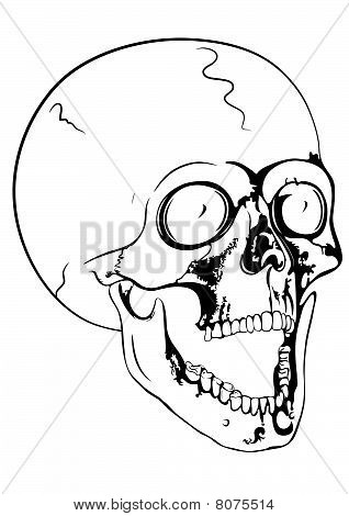 Screaming Skull - Vector & Photo (Free Trial) | Bigstock