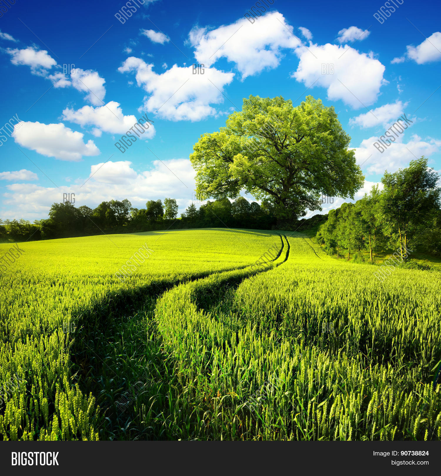 Idyllic Rural Image & Photo (Free Trial) | Bigstock