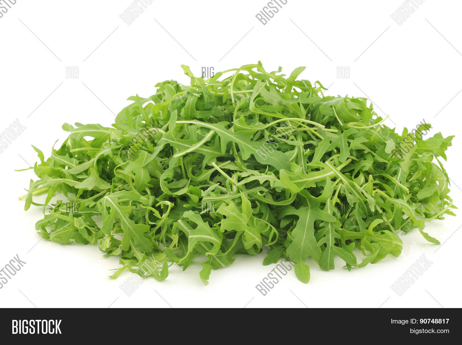Fresh Rucola Leaves ( Image & Photo (Free Trial) | Bigstock