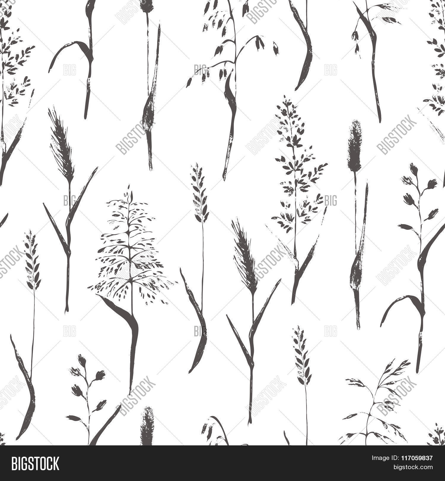 Hand Drawn Meadow Vector & Photo (Free Trial) | Bigstock