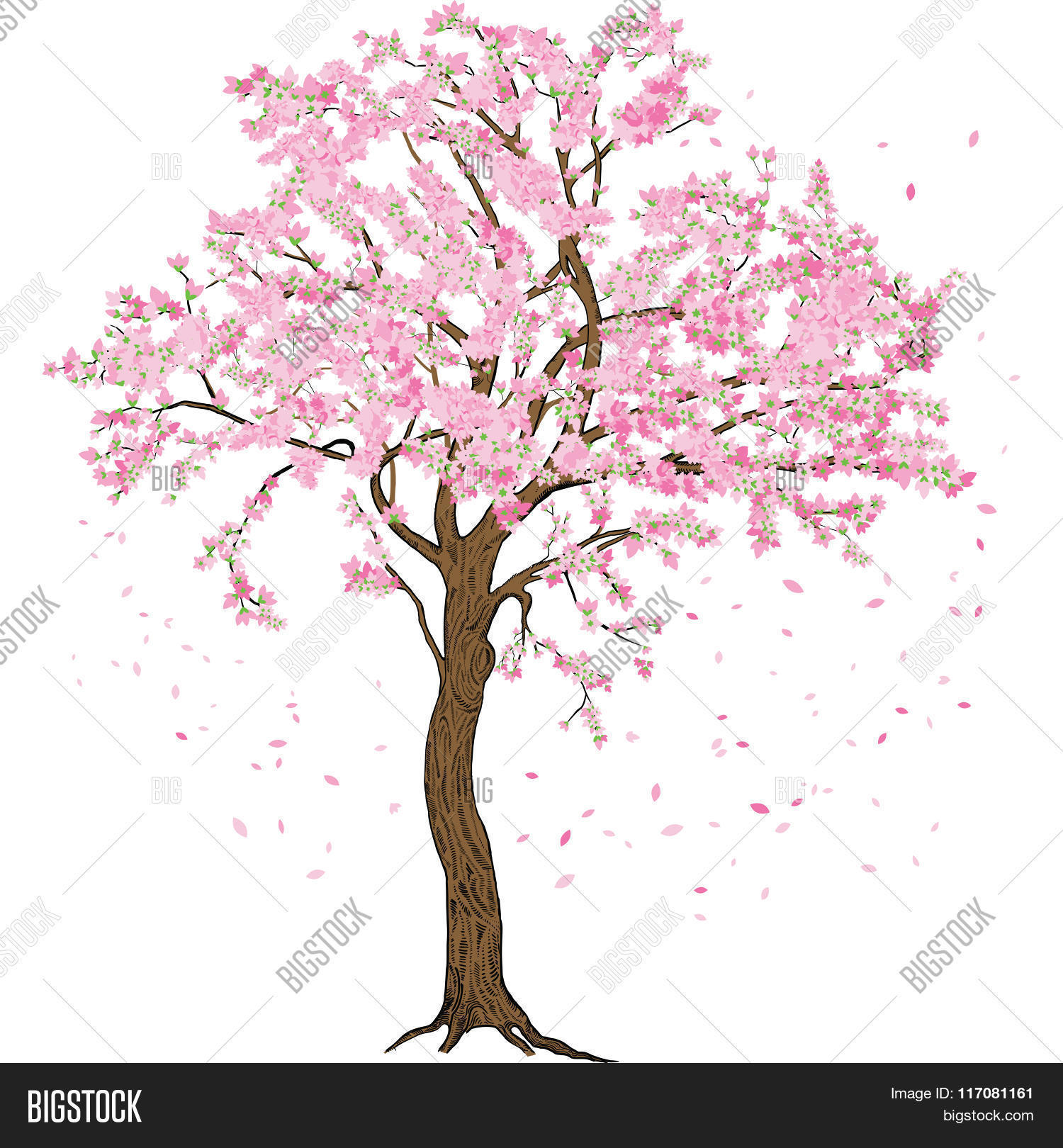 Isolated Sakura Vector & Photo (Free Trial) | Bigstock
