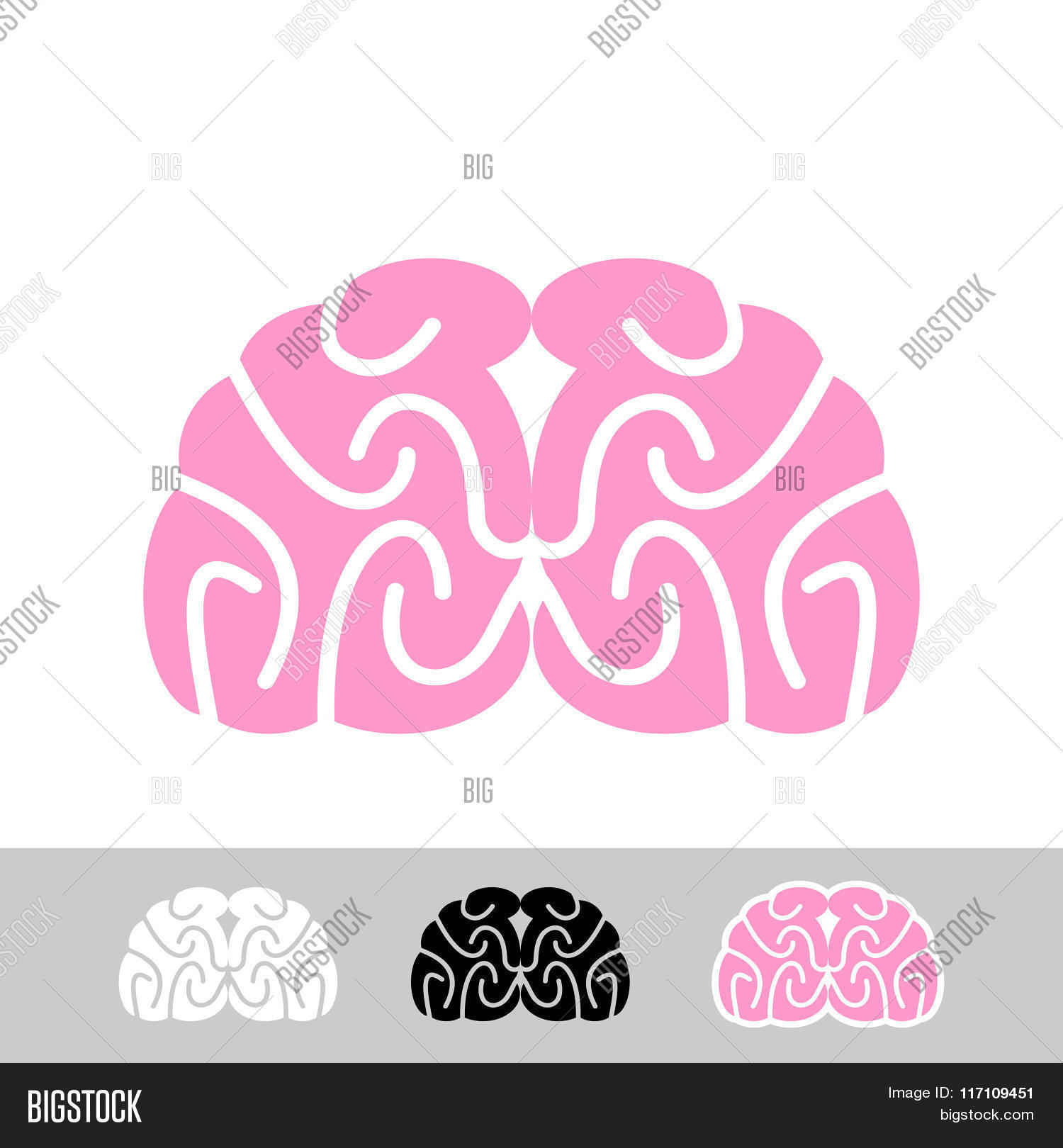 Brain. Flat Brain Vector & Photo (Free Trial) | Bigstock