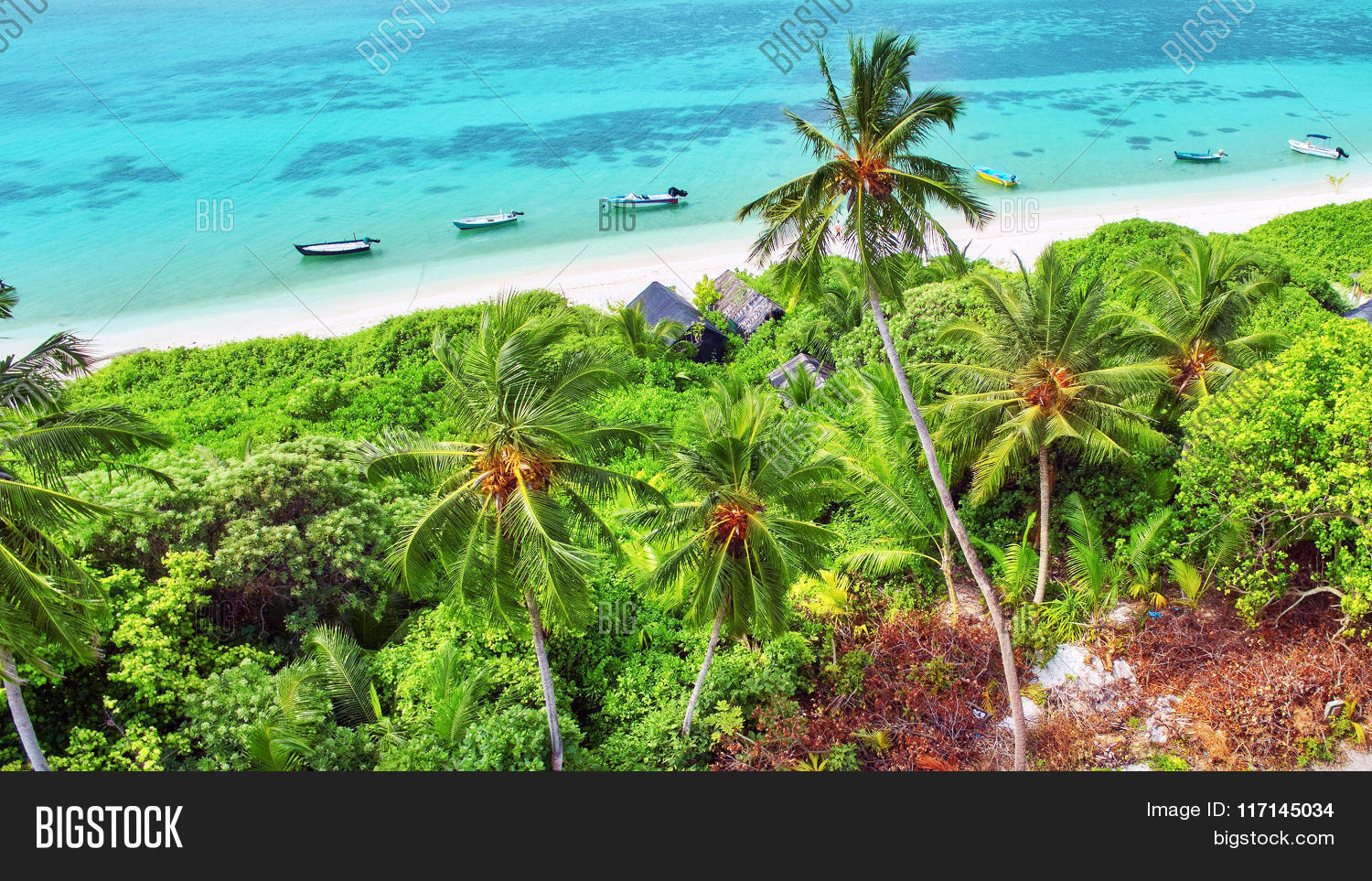 Shoreline Tropical Image & Photo (Free Trial) | Bigstock