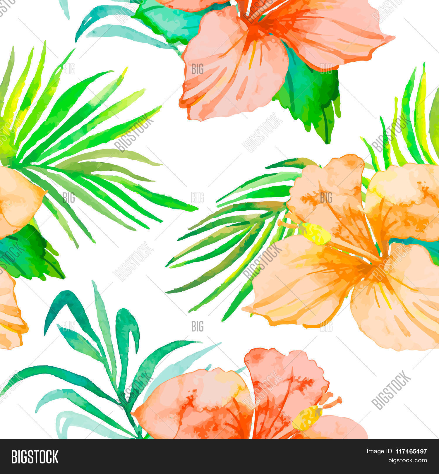 Hibiscus. Tropical Vector & Photo (Free Trial) | Bigstock