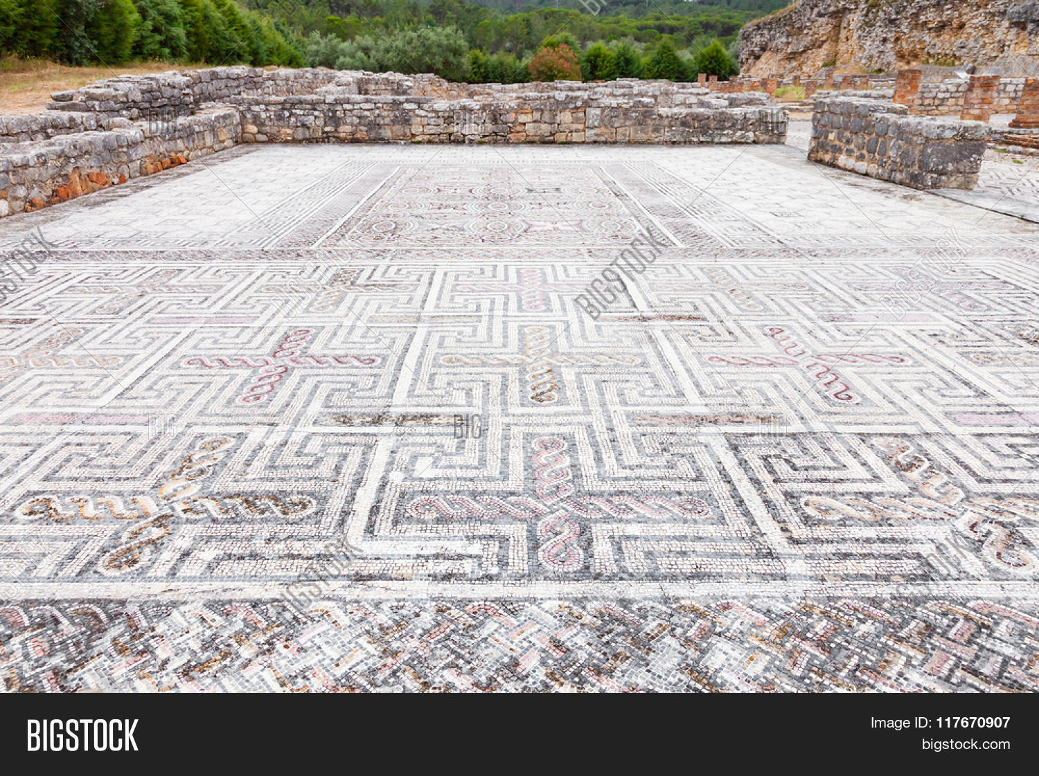 Complex Elaborate Image & Photo (Free Trial) | Bigstock