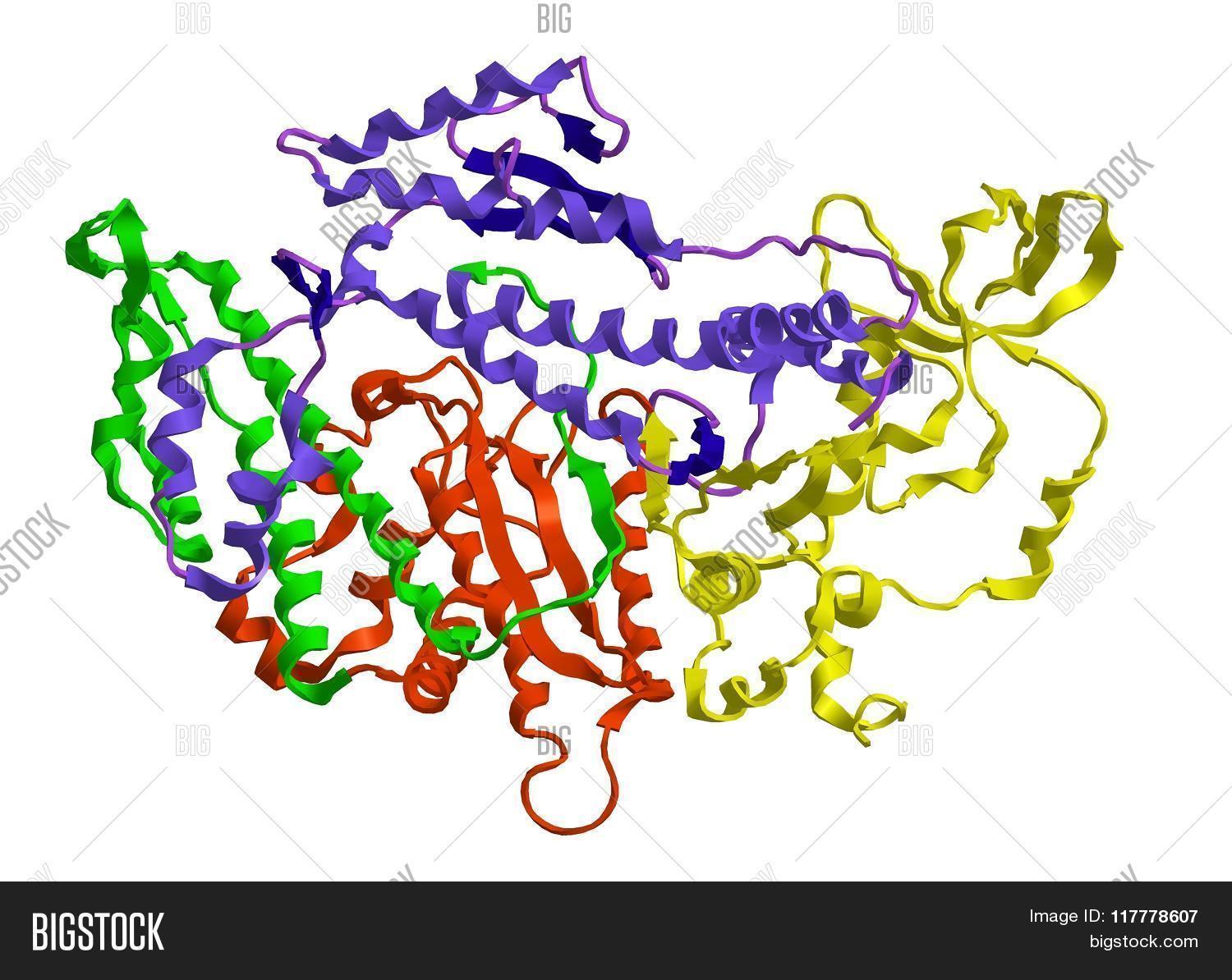 Molecular Structure Image & Photo (Free Trial) | Bigstock