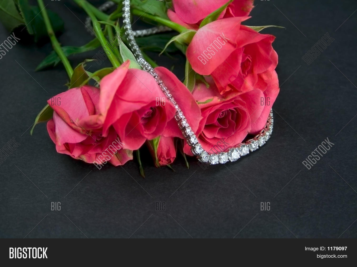 Sweetheart Roses Image & Photo (Free Trial) | Bigstock