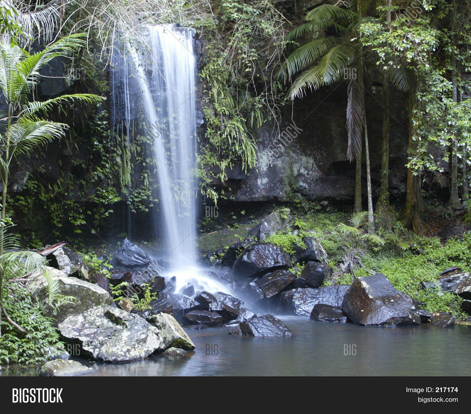 Tropical Waterfall Image & Photo (Free Trial) | Bigstock