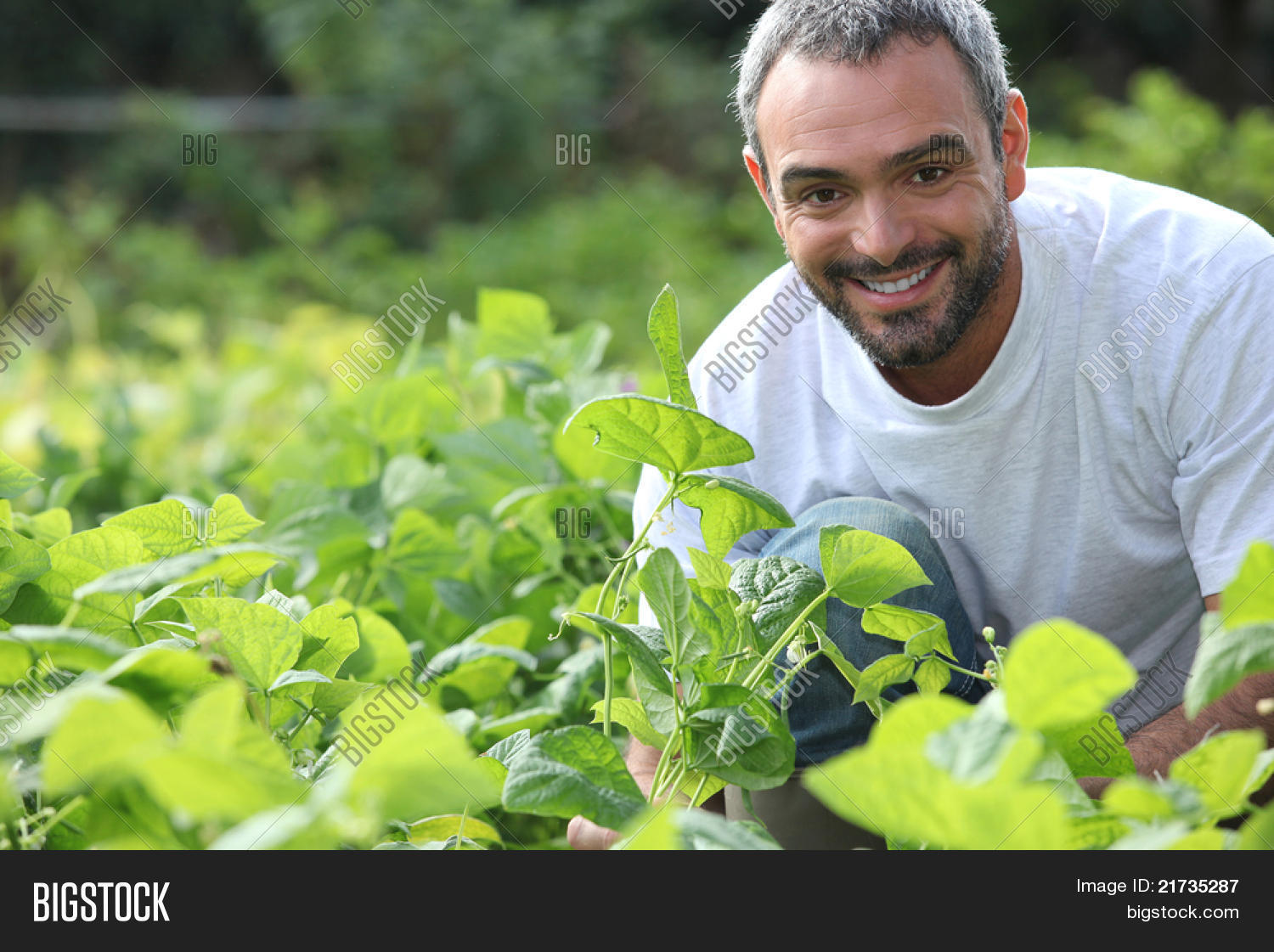 Portrait Farmer Image & Photo (Free Trial) | Bigstock