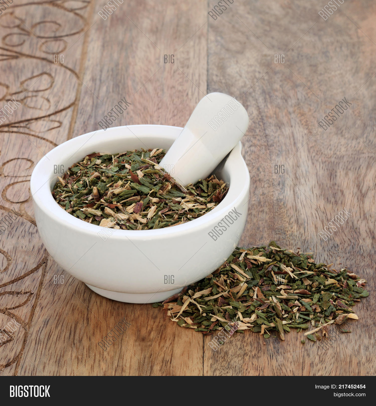 Thuja Leaf Herb Used Image & Photo (Free Trial) | Bigstock