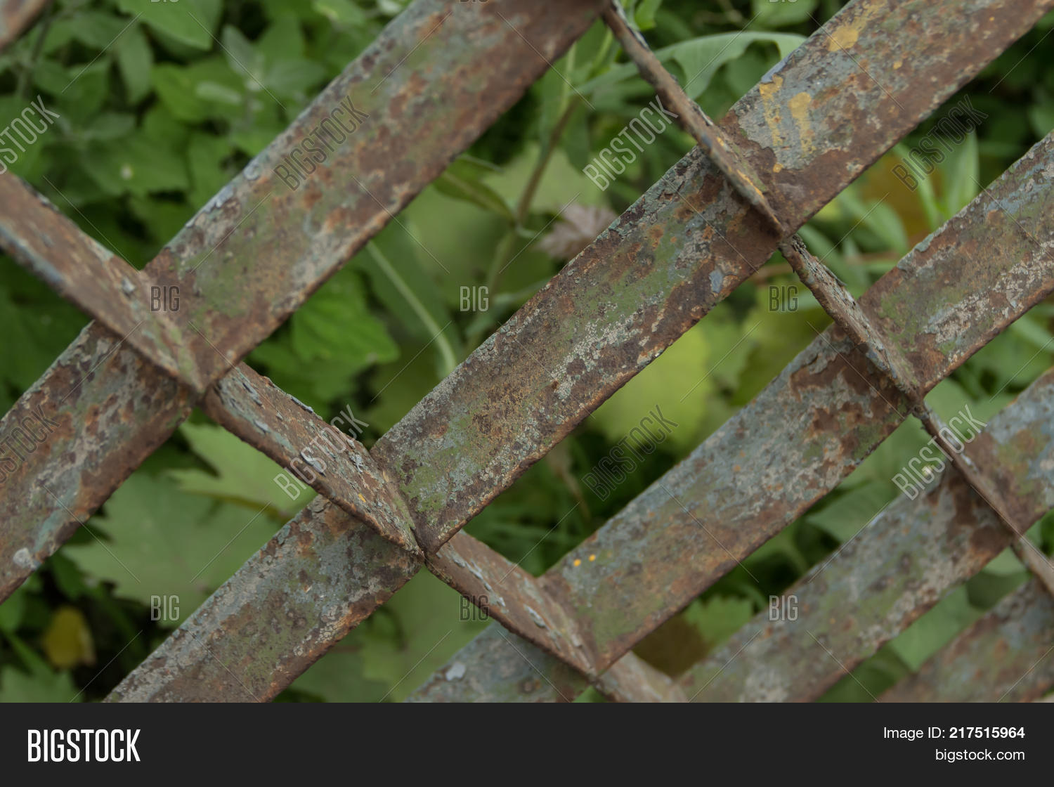 Old Rusty Grate Fence Image & Photo (Free Trial) | Bigstock