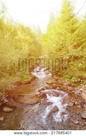 Water Close Up Mountain Stream Images, Illustrations & Vectors (Free ...