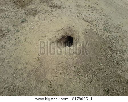 Prairie Dog Hole Brown Image & Photo (Free Trial) | Bigstock