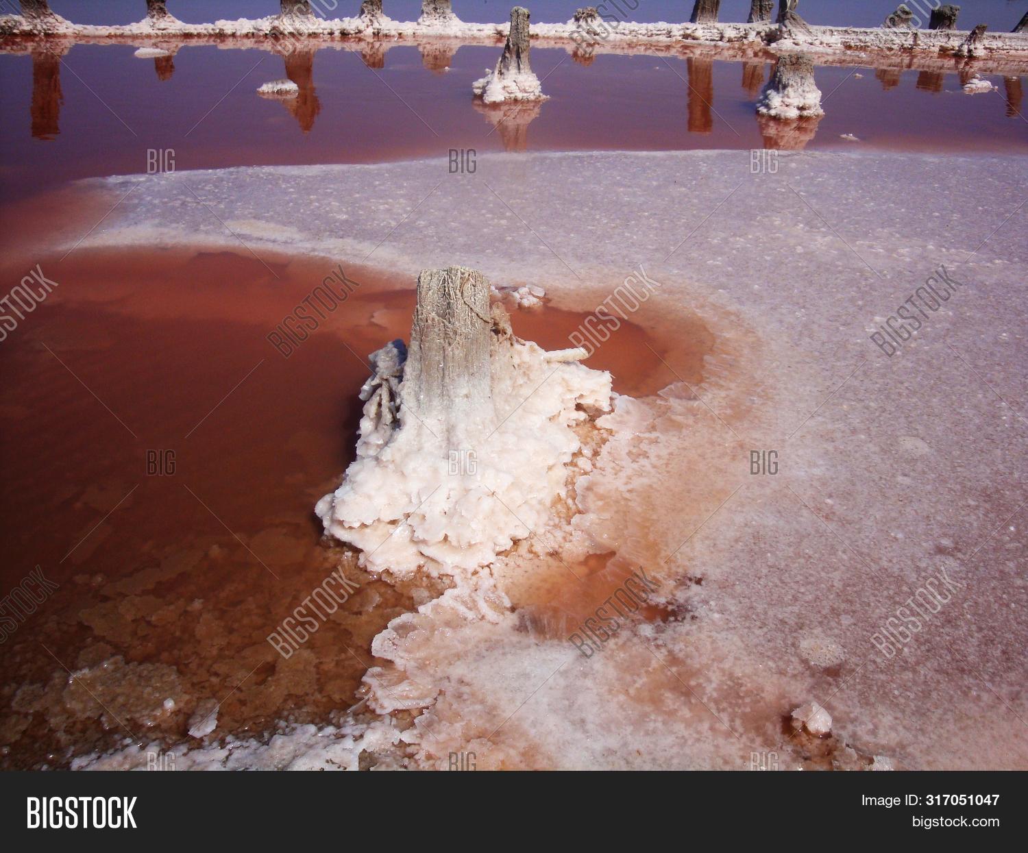 Extraction Salt Image & Photo (Free Trial) | Bigstock