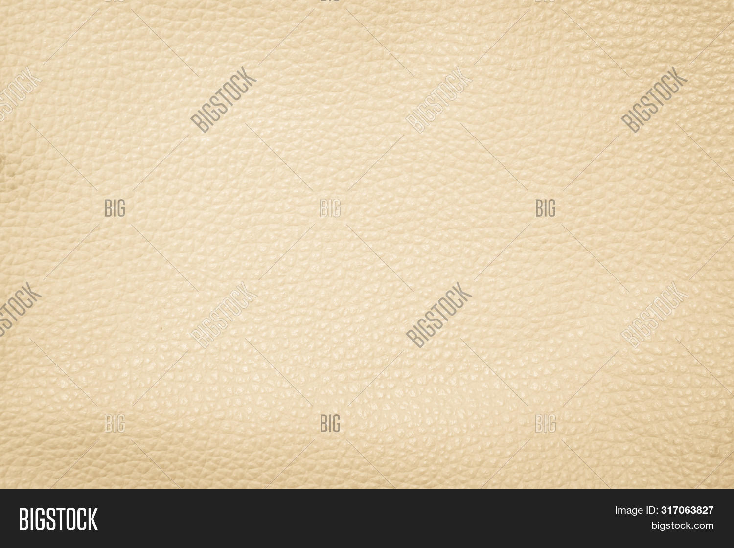 Abstract Beige Leather Image & Photo (Free Trial) | Bigstock