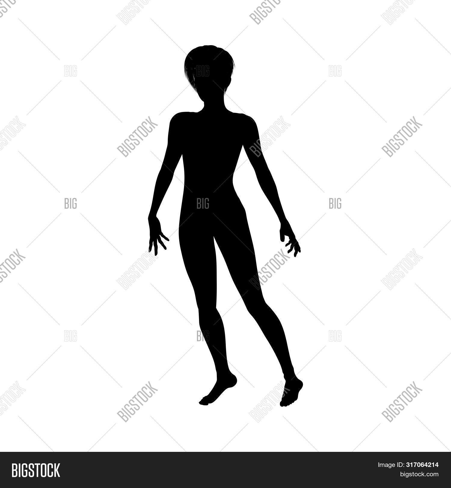 Naked Sexy Girls Vector And Photo Free Trial Bigstock