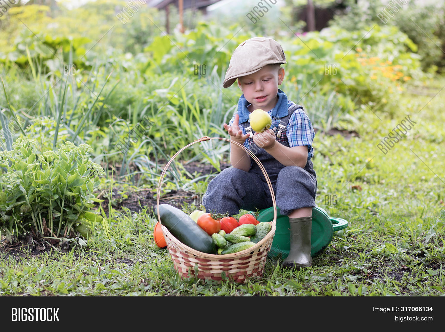 Imagen y foto Little Farm Boy (prueba gratis) | Bigstock